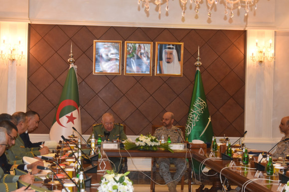Le Général d'armée Saïd Chanegriha s'entretient avec son homologue ...
