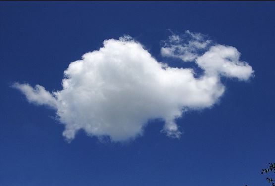 بالصور أشكال حيوانات من الغيوم – النهار أونلاين