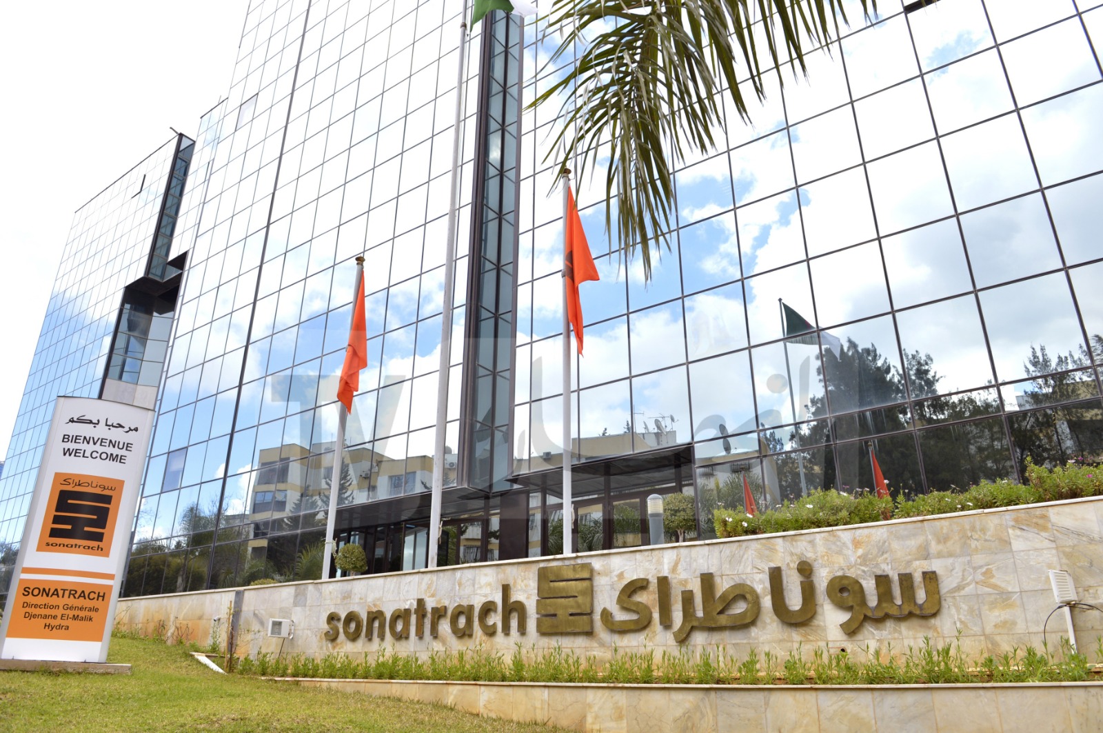 الشركة الفرعية 100 بالمائة سوناطراك STEPPolymersSpa تمنح عقد إنجاز مركب ...