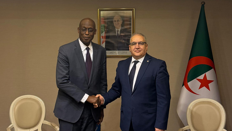 الأمم المتحدة تُثمن جهود الجزائر في مرافقة اللاجئين – النهار أونلاين